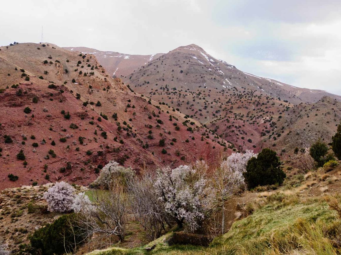 L’opportunité est là pour le Maroc de valoriser sa nature profonde ...