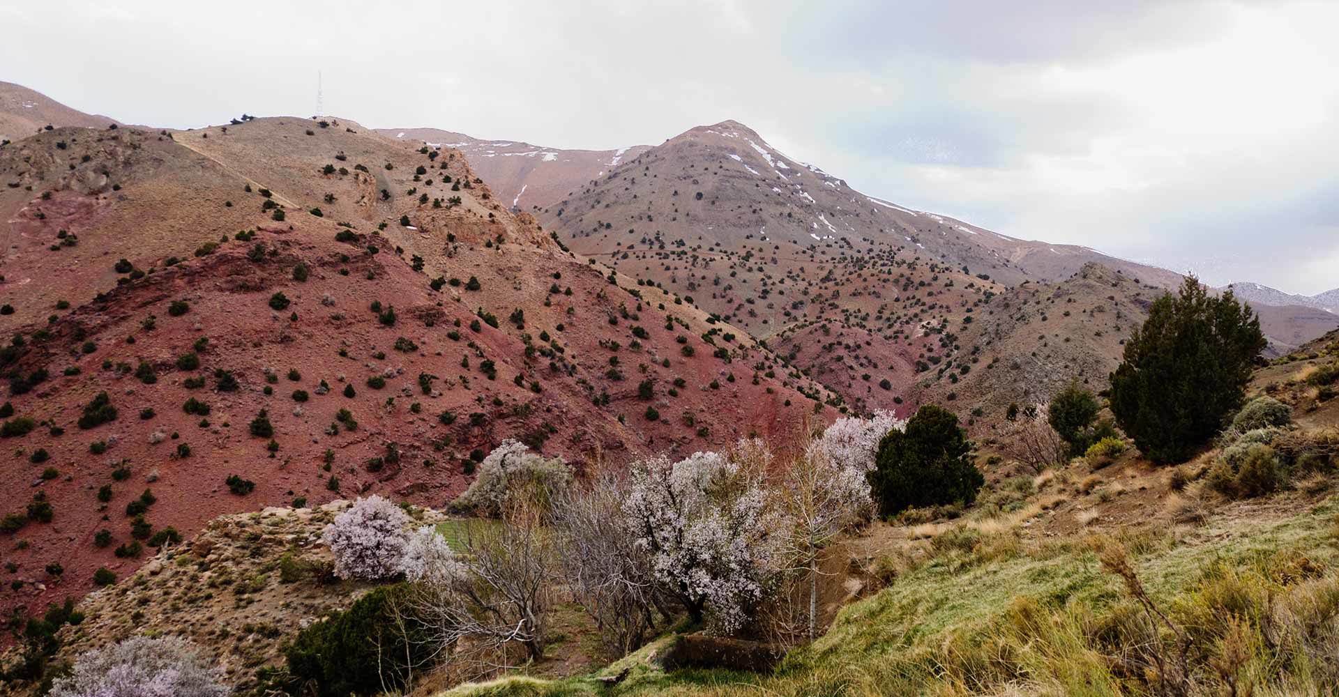 Le "tourisme vert", atout majeur pour Ouarzazate, et le Maroc - Sud Est ...