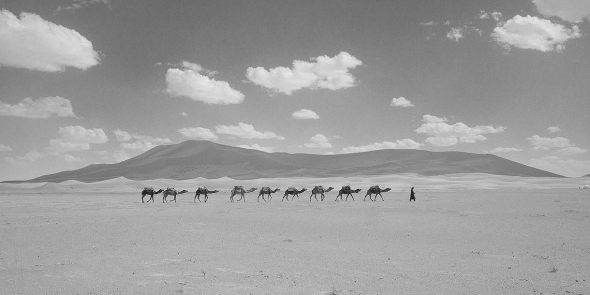 Kafila, la caravane chamelière qui veut relier le passé du Maroc à son ...