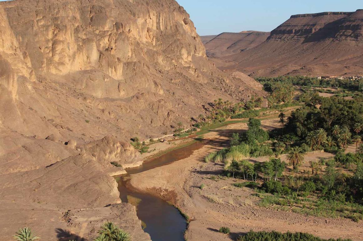 Oasis de Fint - sudestmaroc.com