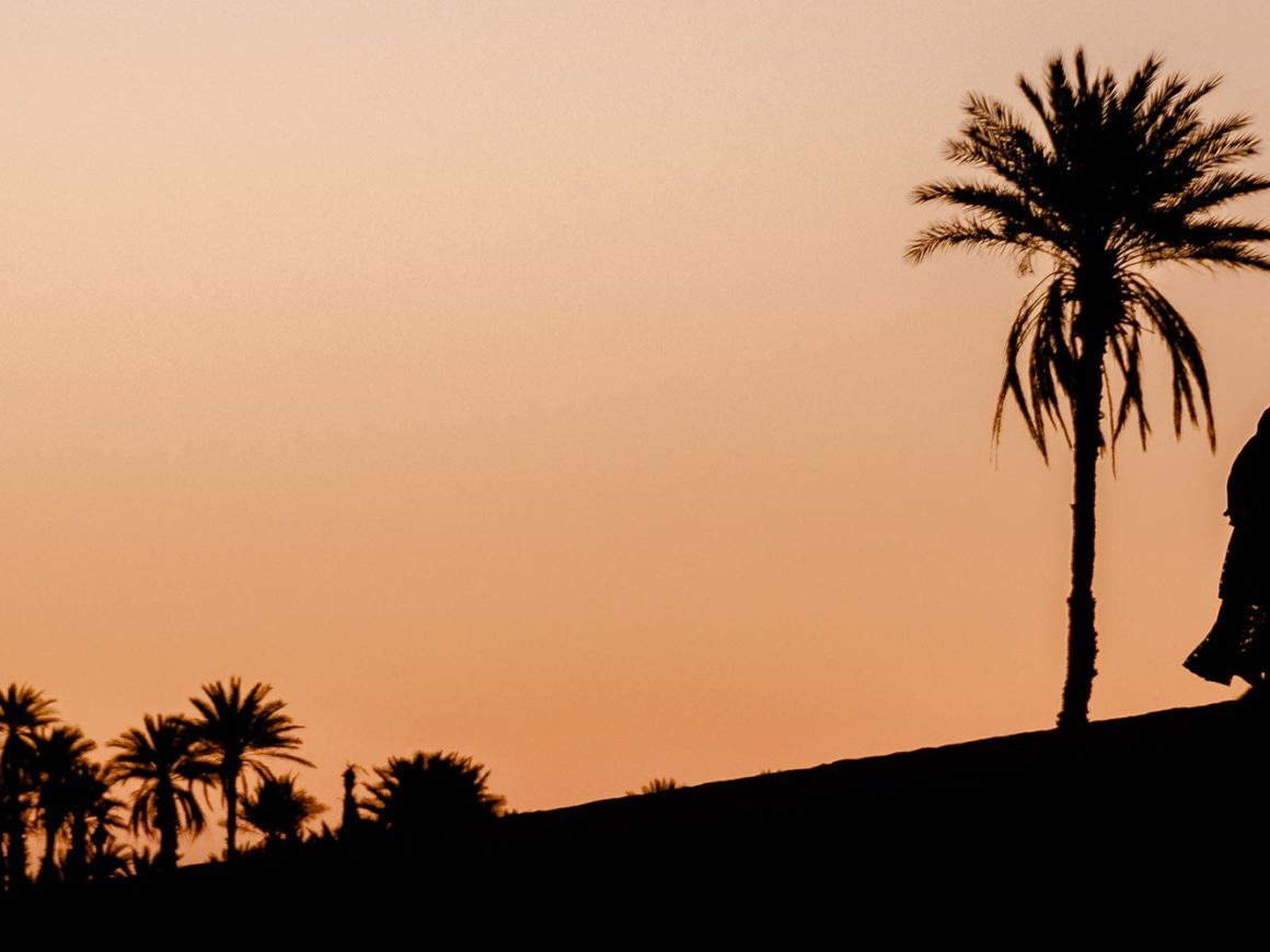 Focus - Sudestmaroc.com