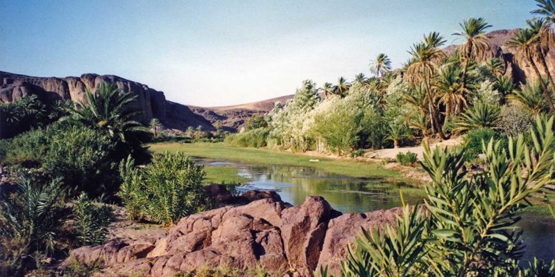 Terre des oasis et des palmeraies ou amazighe - sudestmaroc.com