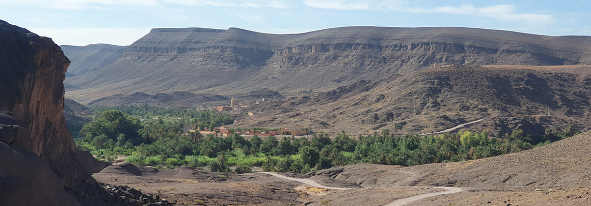 L'oasis de Fint racontée par ses anciens ...